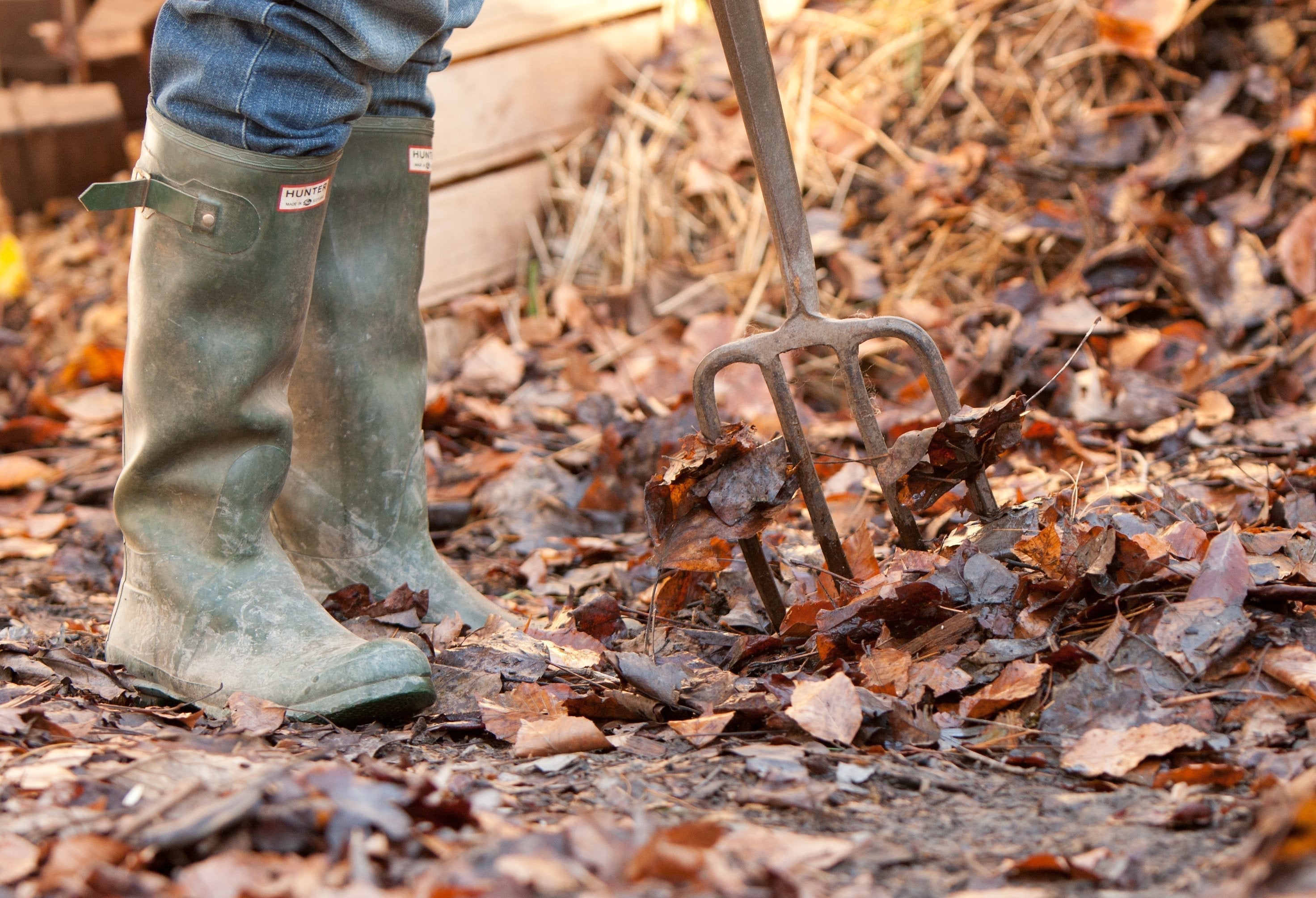 Using Fall Leaves in the Garden – Soil3